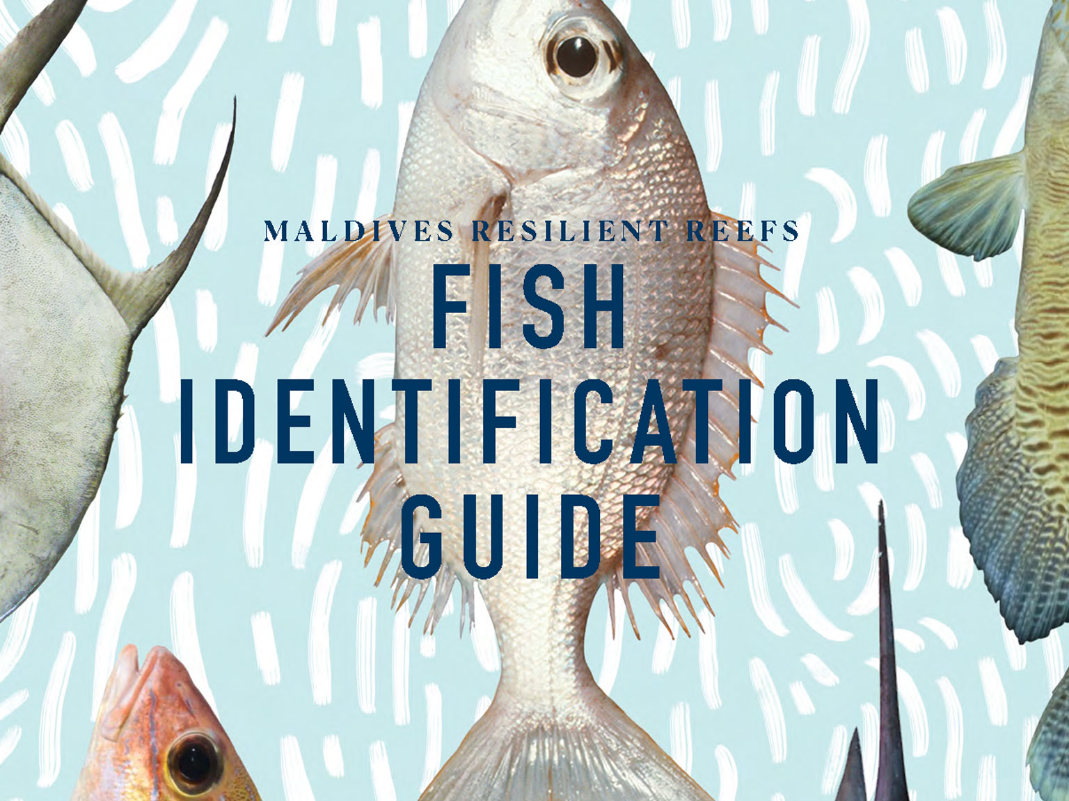 Reef Fish Identification Guide Ultimate Guide: Hawaiian Reef Fishes,